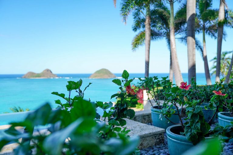 Hawaii Lawn Care Tips From Oahu's Local Landscaping Experts